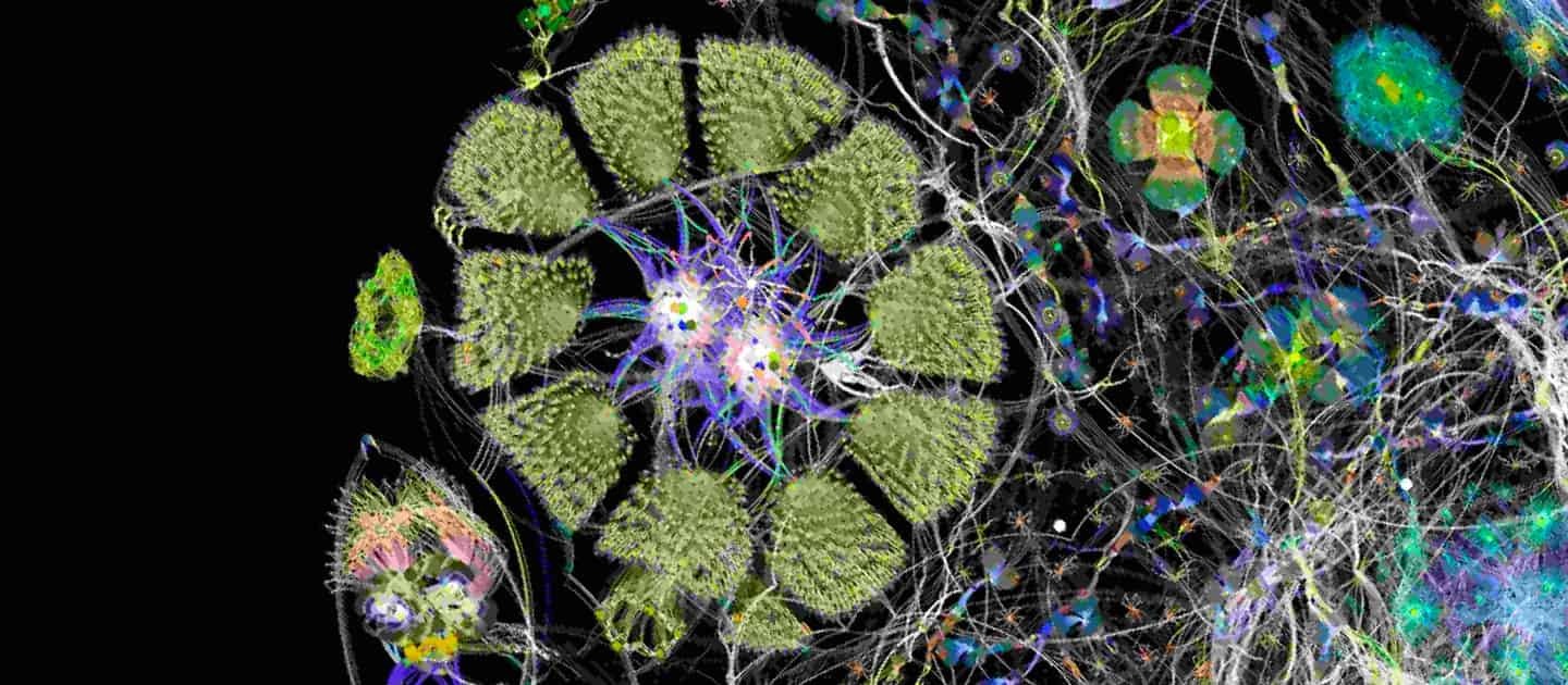 Building Large Models on IPU